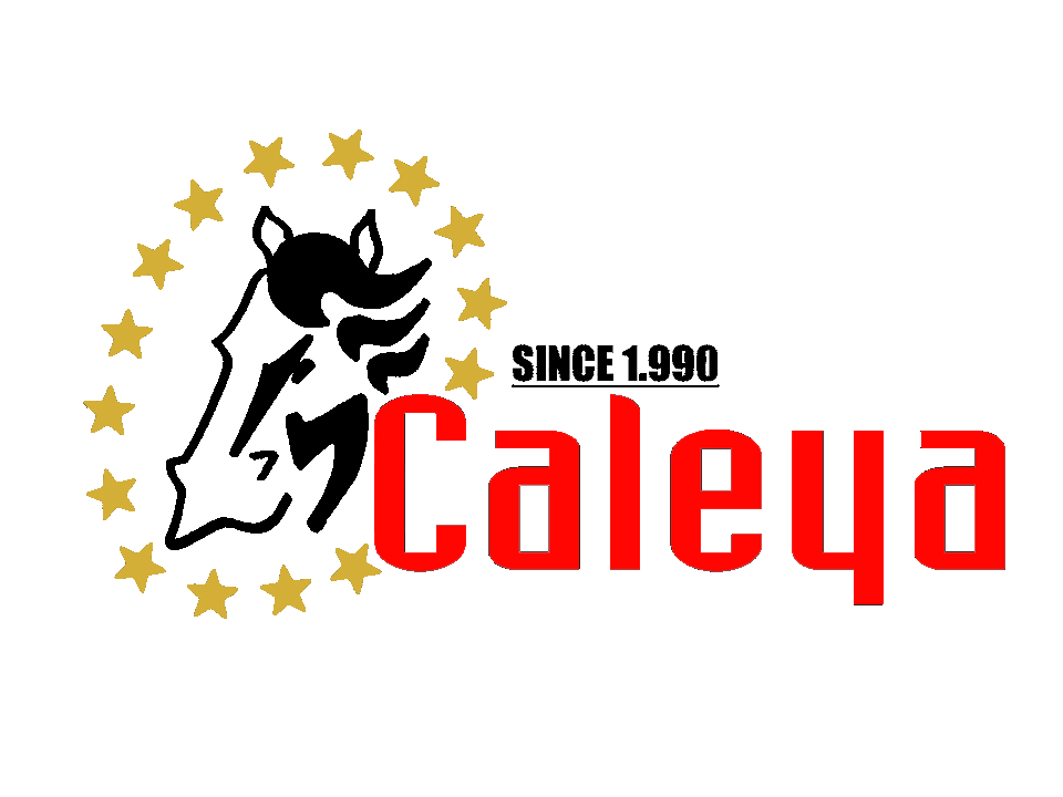 Colaboradores - Blog de caballos | NMV Horses